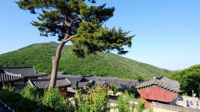 Korean Buddhist Food & Temple Stay at Beomeosa Temple | Busan, South ...