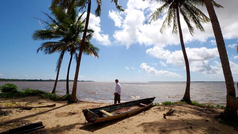 Top 5 Things to Do in Galibi, Suriname - David's Been Here