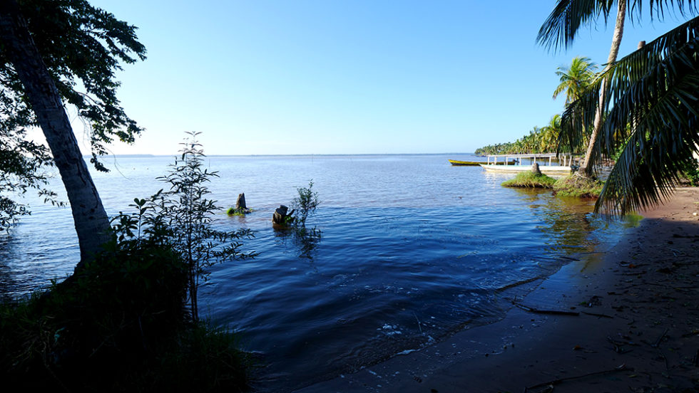 Top 5 Things to Do in Galibi, Suriname - David's Been Here