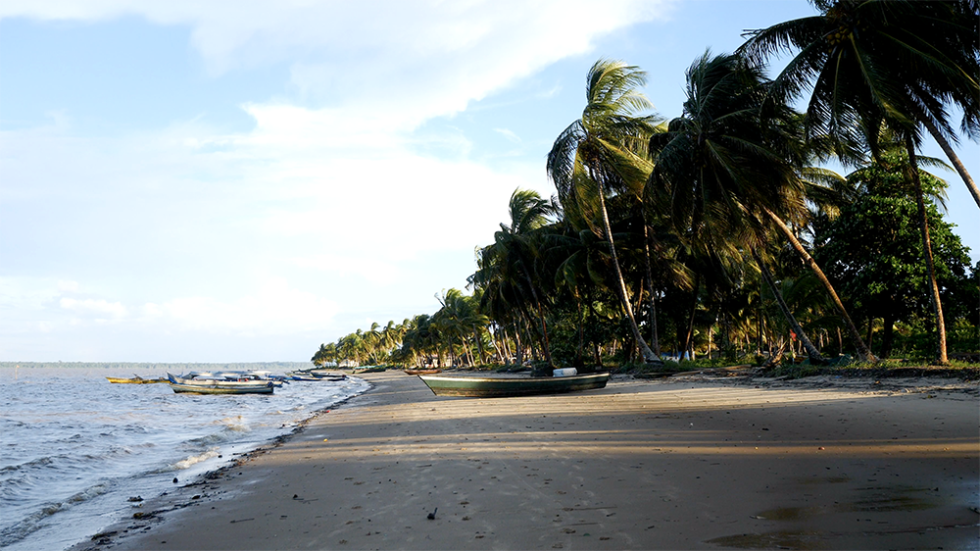 The Ultimate Guide to Traveling Around Suriname - David's Been Here
