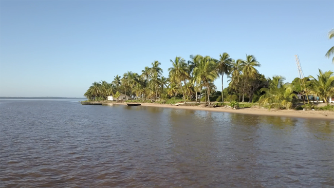 The Ultimate Guide to Traveling Around Suriname - David's Been Here