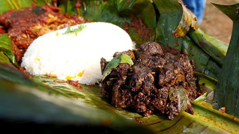 5 Things You Must Do in Munnar, Kerala, India - David's Been Here