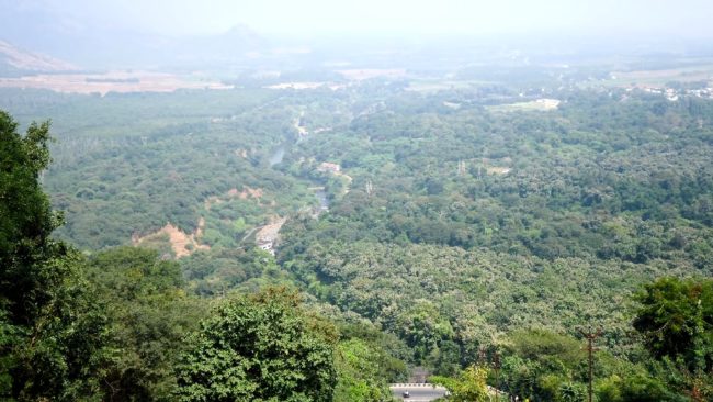 VIDEO: India’s Secret Vineyards in Tamil Nadu + Local Roadside Snacks ...