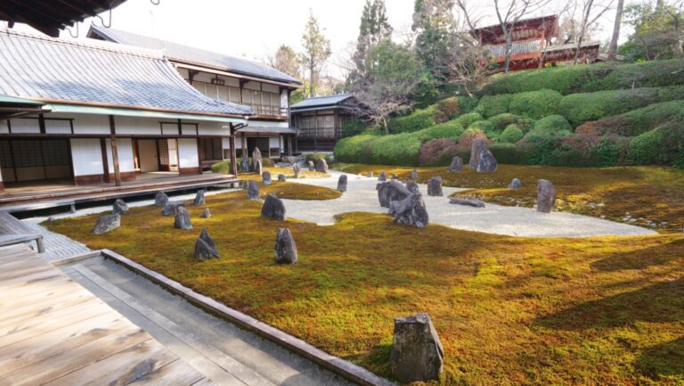 Places to Visit in Japan: Land of the Rising Sun 🇯🇵 - David's Been Here